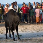 Robinson Crusoe Island Tour (Misali Island- Pemba Island) - Full Day ...